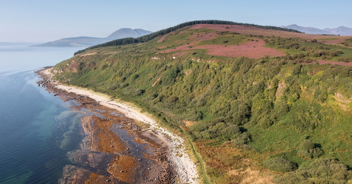 Communicate Your Impact in 2025 | Climate Impact Partners