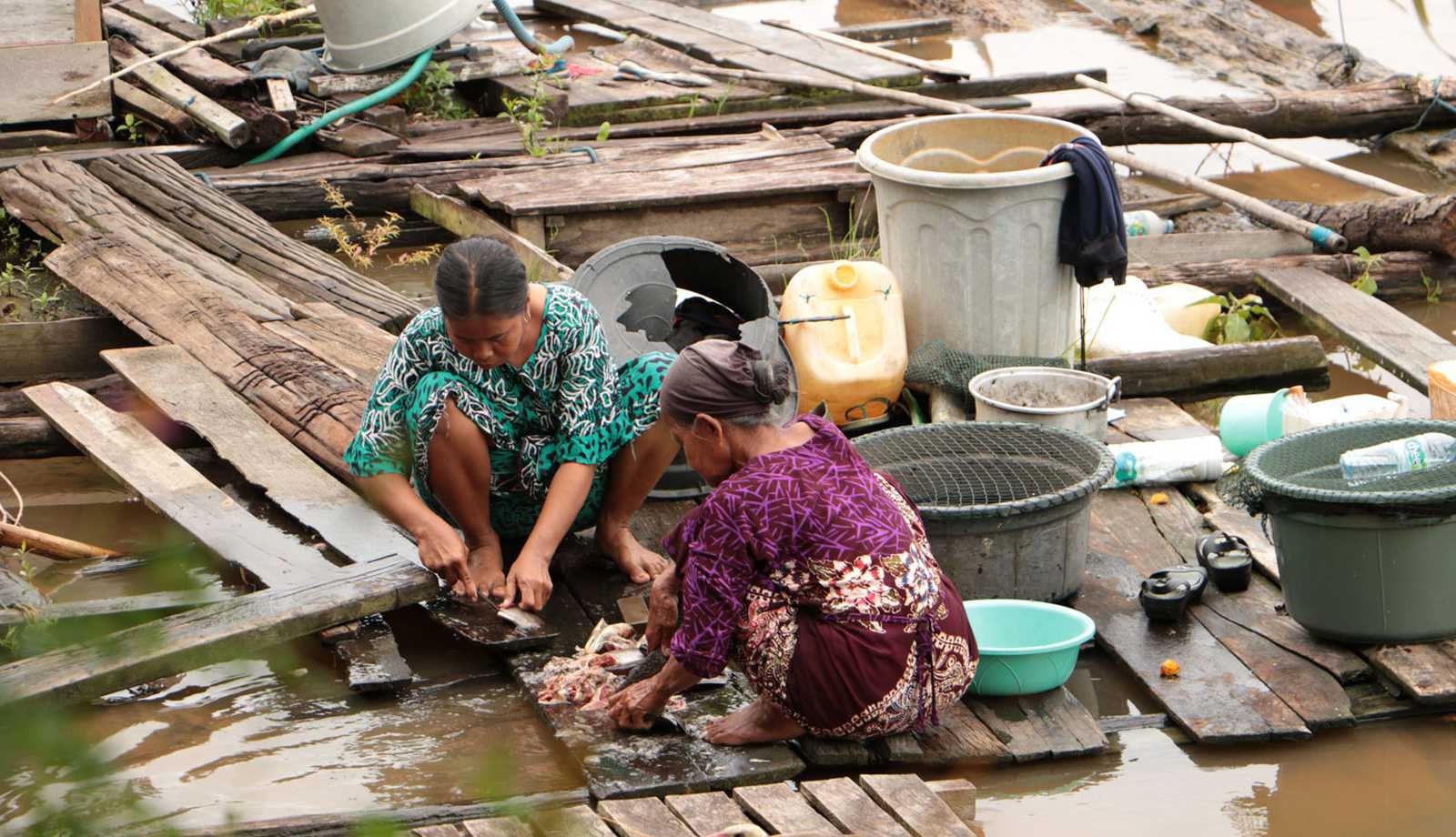 Rimba Raya REDD+, Indonesia | Climate Impact Partners