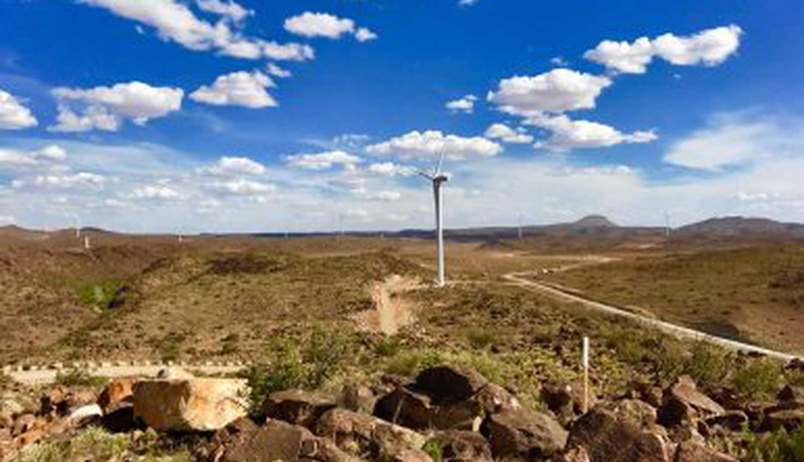 North Cape Wind Power, South Africa | Climate Impact Partners