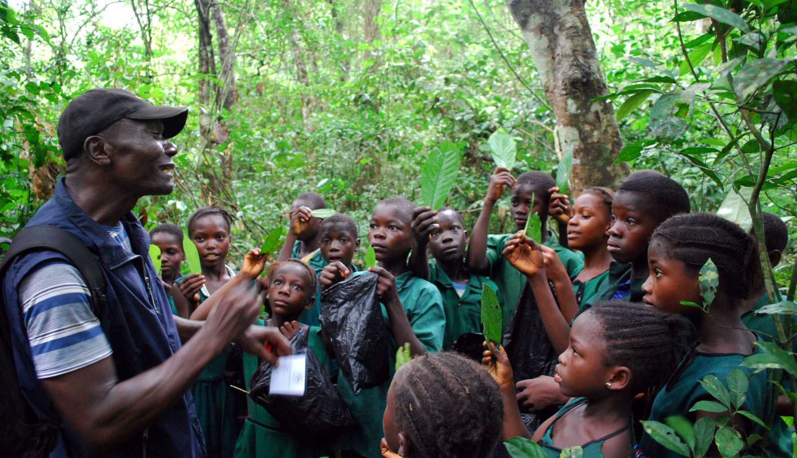REDD+ Projects (Forest conservation) | Climate Impact Partners