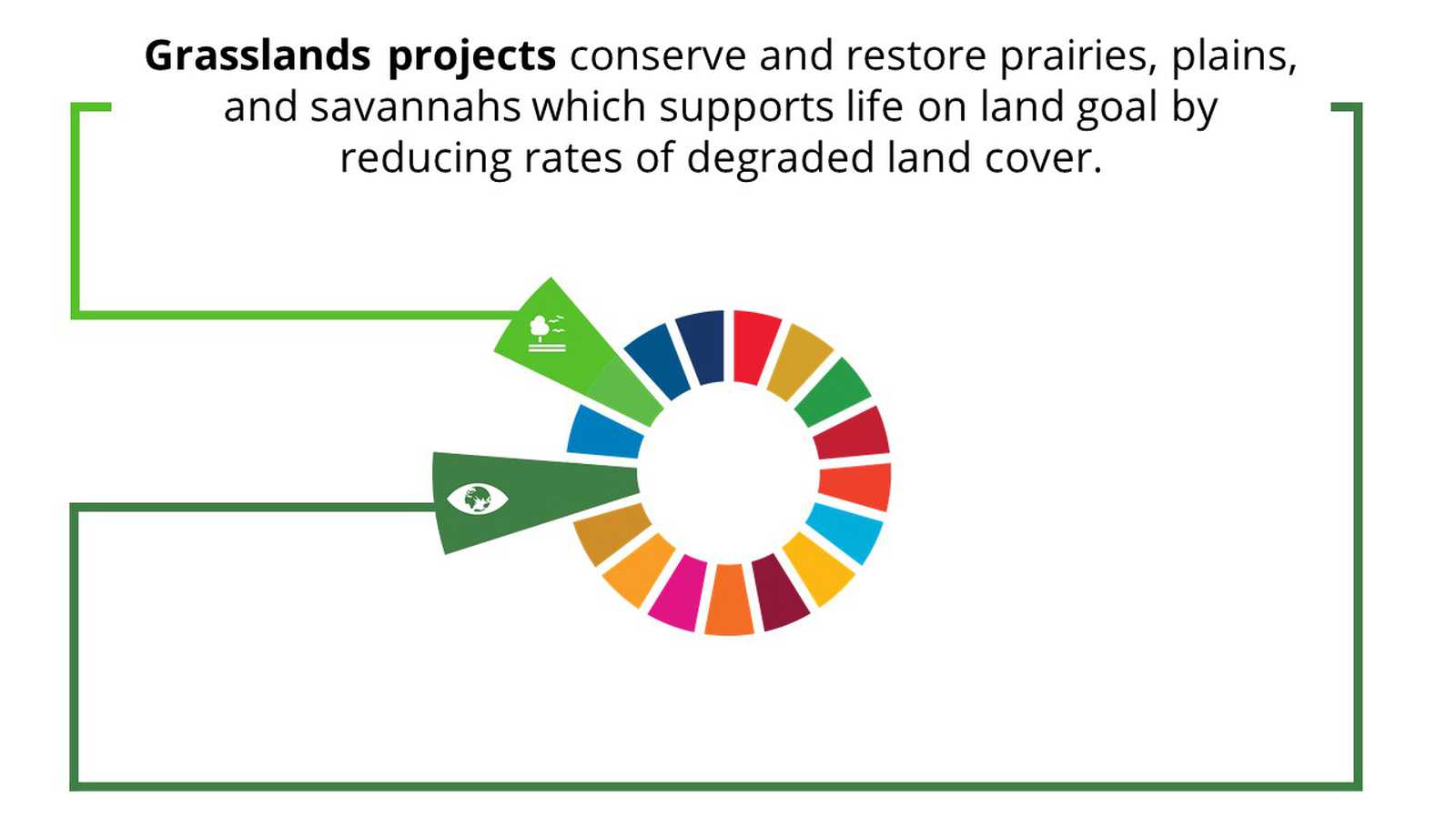 Nature Based Solutions | Climate Impact Partners